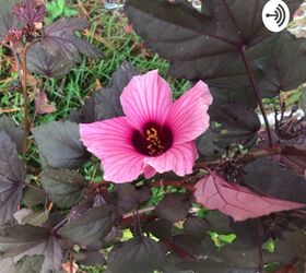 TFB Podcast Roundup 10: Elk Hunting, Johnny B, and Bullet Casting ...