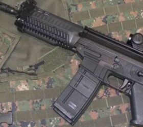 Sig 556 Pistol: P556 | thefirearmblog.com