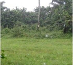 Turning Birdshot into Slugs for Self-Defense | thefirearmblog.com
