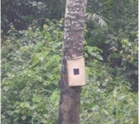 Turning Birdshot into Slugs for Self-Defense | thefirearmblog.com