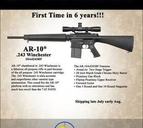 Armalite AR-10 .243 Win. | thefirearmblog.com