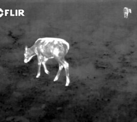 FLIR Scout PS-Series PS24 / PS32 | thefirearmblog.com