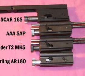 AAA SAP – Another Offspring of Charles St. George's Leader T2 ...