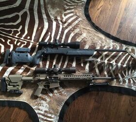 POTD: Hog Hunting / Safari Rifles | thefirearmblog.com