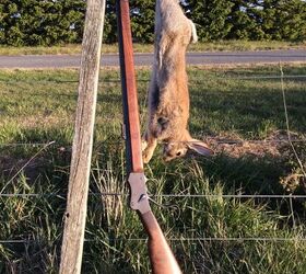 POTD: Hunting with the historical .310 Cadet | thefirearmblog.com