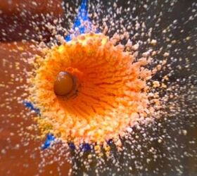 Shooting Non-Newtonian Fluids | thefirearmblog.com