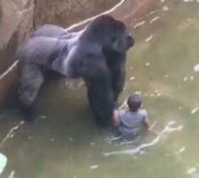 DANGER AT THE ZOO: Weapons Response Teams | thefirearmblog.com