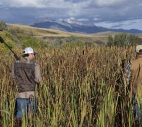Hunting With Suppressors – Bridging The Divide Between Traditional And ...