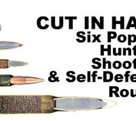 Six Popular Rounds Cut in Half | thefirearmblog.com