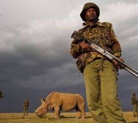 Zero Training African Park Rangers, array of small arms ...