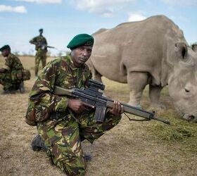 Zero Training African Park Rangers, array of small arms ...