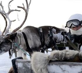 Russian Arctic Forces Learn to Drive … Reindeer Sleighs ...