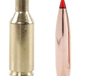 The .260 KIOTE – Creedmoor Killer? | thefirearmblog.com