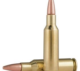 .224 Valkyrie Will Get a 100gr Bullet – Federal Premium Releases ...