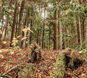 POTD: Polish Sniper Teams with Sako TRGs | thefirearmblog.com
