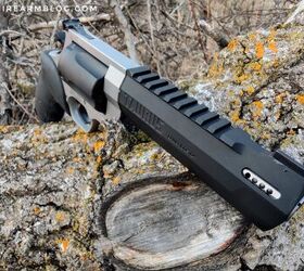 Wheelgun Wednesday: TFB Review - Taurus Raging Hunter 460 ...