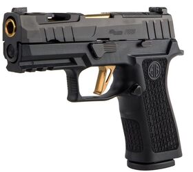 POTD: The SIG Sauer Spectre Series | thefirearmblog.com