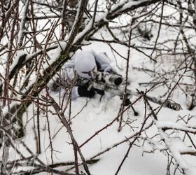 POTD: German Gun Stock – Raptor in Snow-Camo "Arctic" | thefirearmblog.com