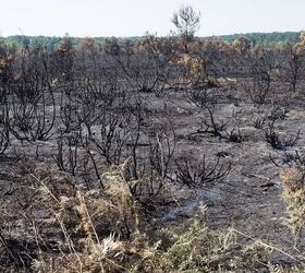 Major Fire at UK's Bisley Ranges | thefirearmblog.com