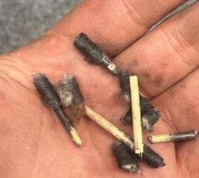 TFB Armorer's Bench: Not Broke Don't Fix It - Polishing Feed Ramps ...