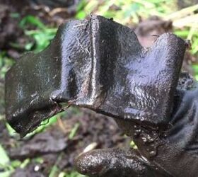 WW2 Weapons Extremely Well Preserved in a Swamp | thefirearmblog.com