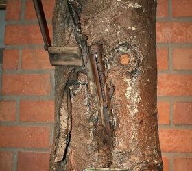 Carl Gustaf Kpist M/45 submachine gun – found 15 yards up in a tree ...
