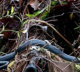Black Snake Slithers Over Sniper's M110 SASS | thefirearmblog.com