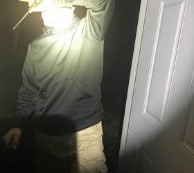 Natural Night Vision | thefirearmblog.com