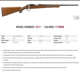 NEW 77-Series Ruger 77/17 Chambered in .17 WSM | thefirearmblog.com
