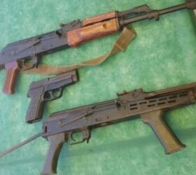 Israeli Weapons Amnesty Turns up Early .303 Dror Variant ...