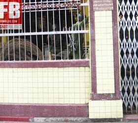 The Tatmadaw's "Thumper", Burmese Standalone 40mm Grenade Launcher ...