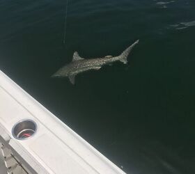 Concealed Carry Corner: Carrying a Firearm While Boating ...