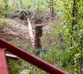 Rifle World Shoot 2019 Sweden – Part II | thefirearmblog.com