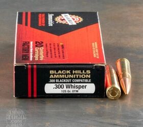 TFB Round Table: Selecting the Best 300 AAC Blackout Hunting Ammo ...