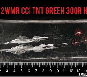 TFB Round Table: 5 BEST 22 Magnum Rounds for Defense or Hunting ...