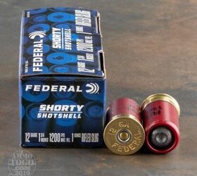 TFB Round Table: Hey Shorty!! Good Things in Small 12 Gauge Packages ...
