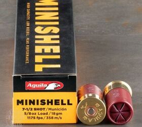 TFB Round Table: Hey Shorty!! Good Things in Small 12 Gauge Packages ...