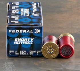 TFB Round Table: Hey Shorty!! Good Things in Small 12 Gauge Packages ...