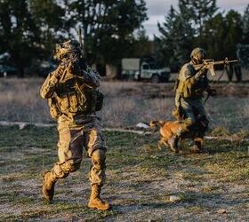 POTD: U.S. Army Paratroopers in Greece | thefirearmblog.com