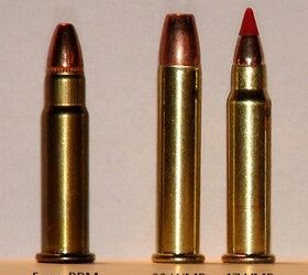 The Rimfire Report: .17HMR vs .22WMR Magnum Rimfire Showdown ...
