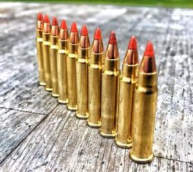 The Rimfire Report: .17HMR vs .22WMR Magnum Rimfire Showdown ...