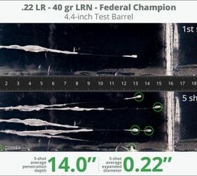 The Rimfire Report: What is the Best Defensive 22LR Ammo ...
