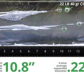 The Rimfire Report: The 3 Best 22LR Pocket Concealed Carry Options ...