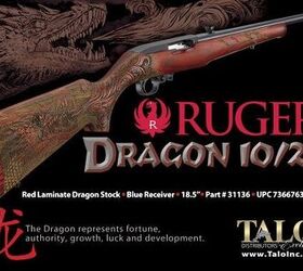 Digging Up the Dragon: a Fire-Breathing Ruger 10/22? | thefirearmblog.com
