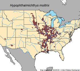 New Shooting Sport: Flying Carp Hunting With Shotguns | thefirearmblog.com