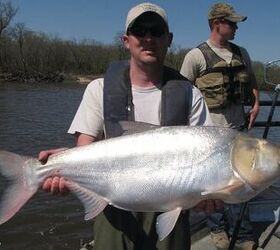 New Shooting Sport: Flying Carp Hunting With Shotguns | thefirearmblog.com