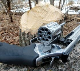 Wheelgun Wednesday: What Makes a Great Pest Control Revolver ...