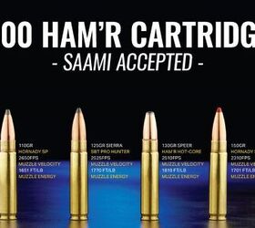 300 HAM'R Elite Performance Ammunition Spotted in SIG 2021 Catalog ...