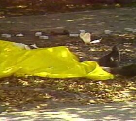 5 Minutes and 145 Shots: Breaking down the 1986 Miami Dade Shooting ...