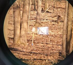 The Rimfire Report: Is Match Grade 22LR Worth the Cost ...